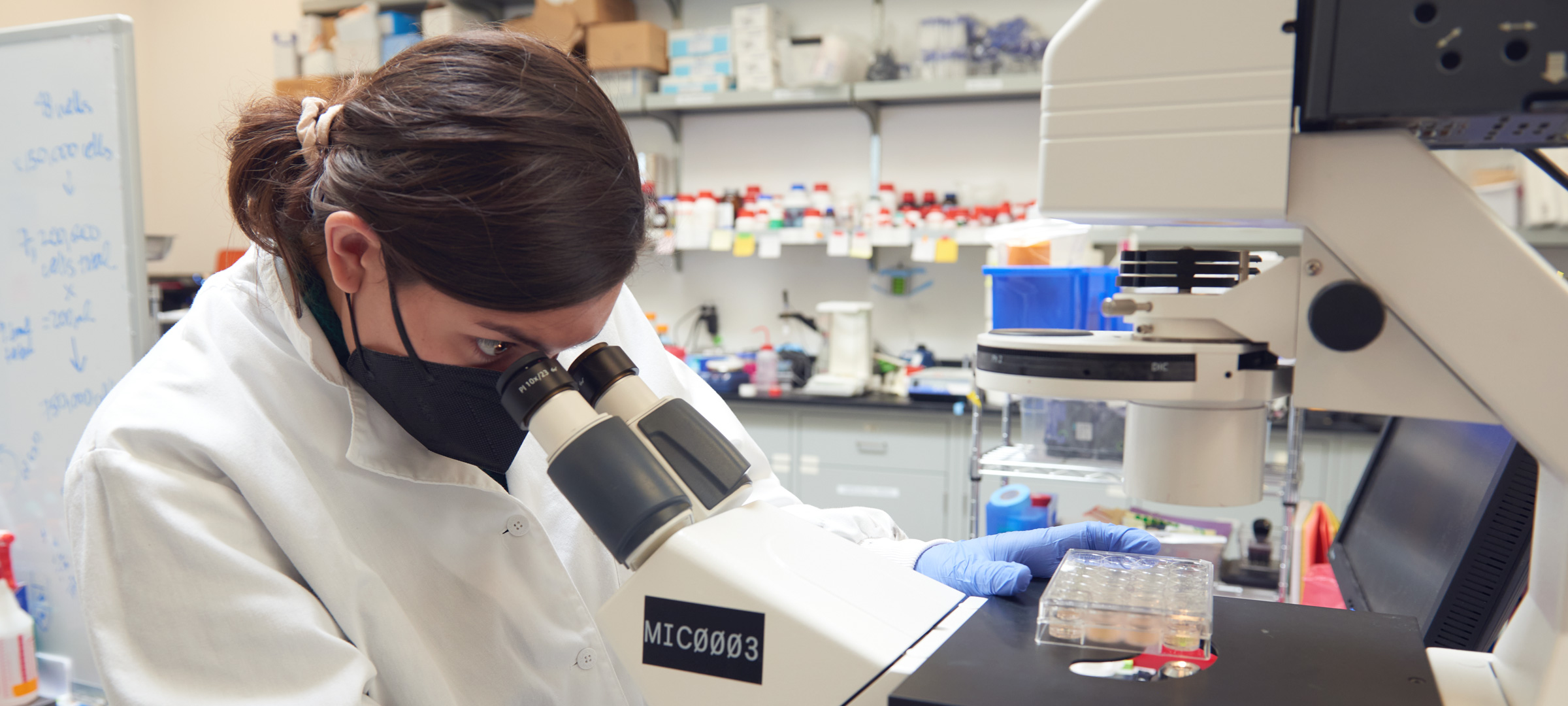 How a pandemic pivoted Prellis from laser-printed organs to in vitro ...