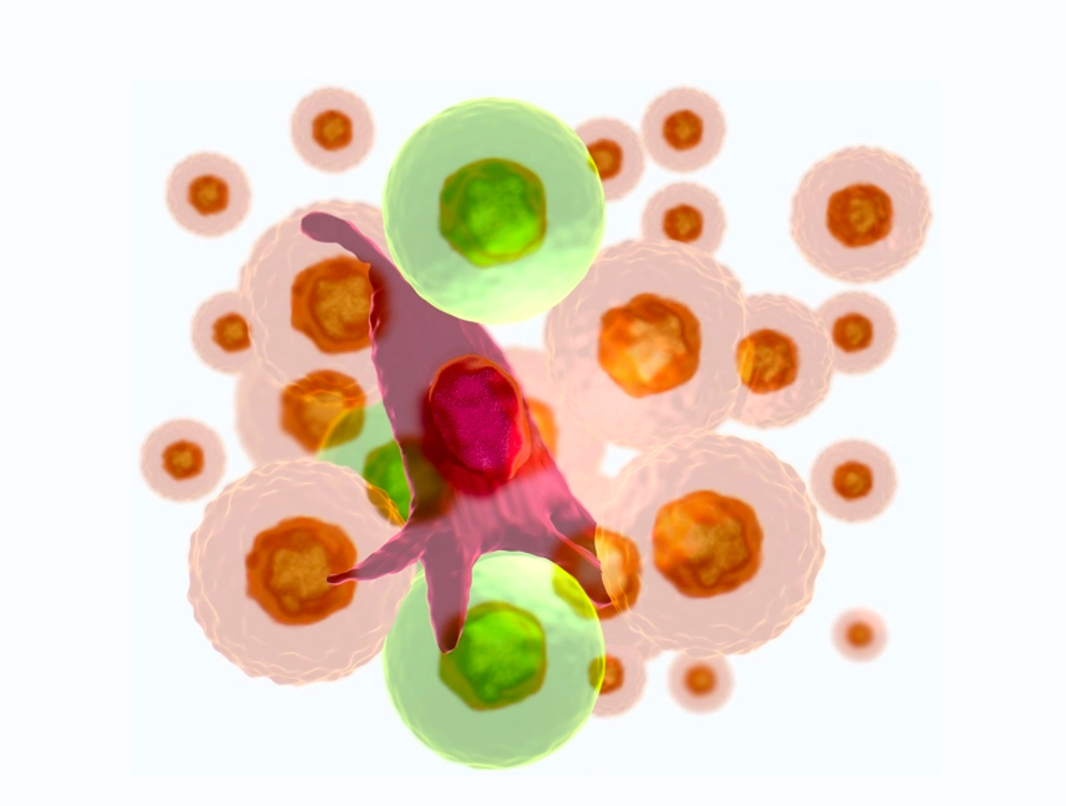 OncoPrecision: A matter of life and death — cancer avatars accelerate ...